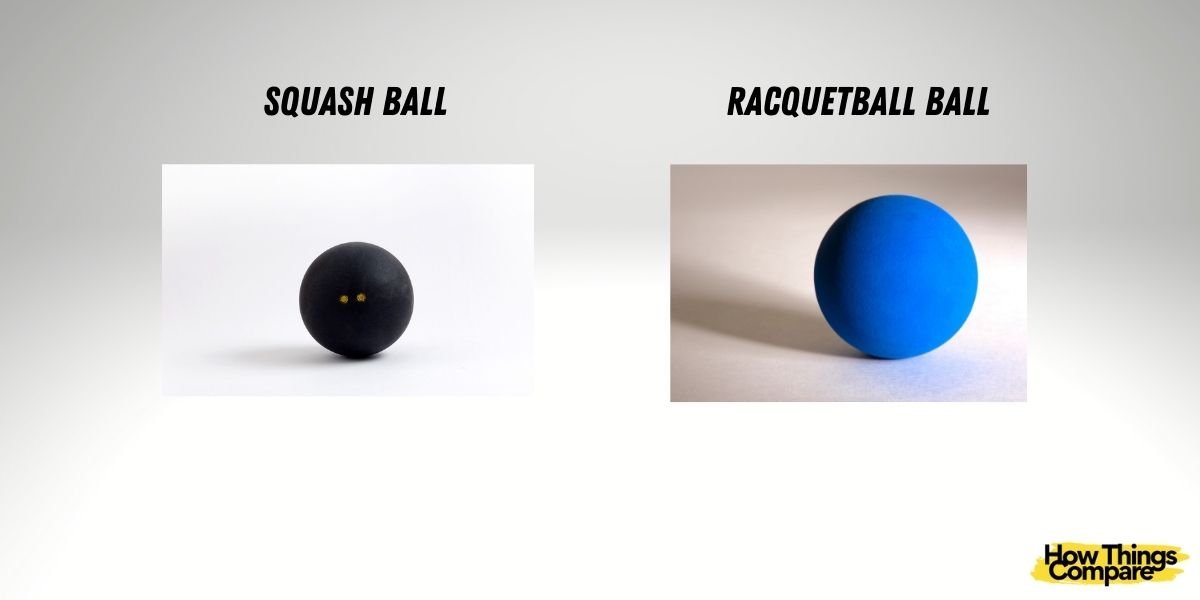 Squash vs Racquetball - What Is The Difference? - Paint Color ...