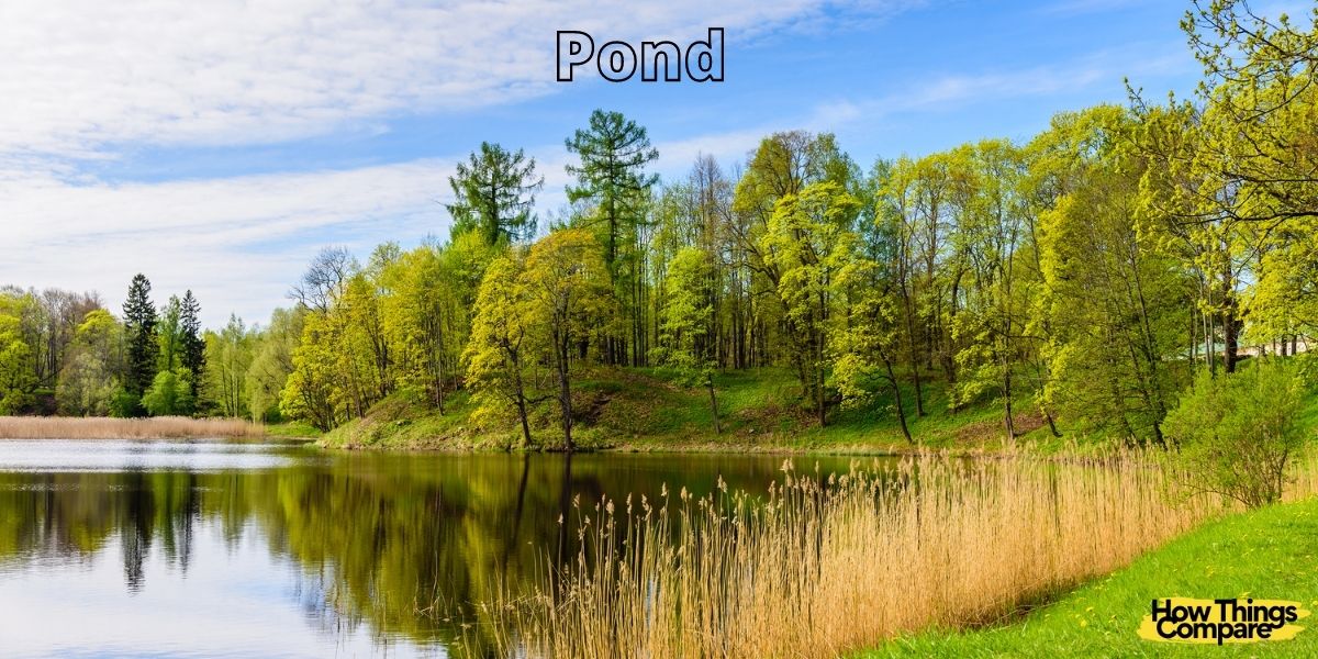 Ponds vs Lakes – How Are They Different? – howthingscompare.com