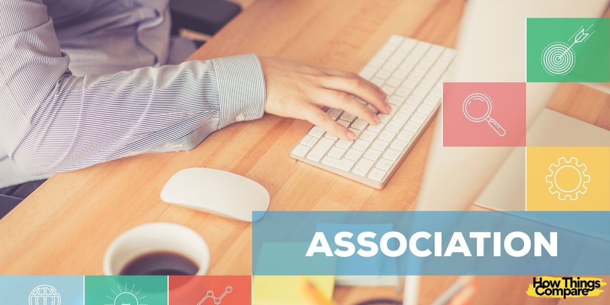 Association vs Organization - What Is The Difference? - Paint Color ...