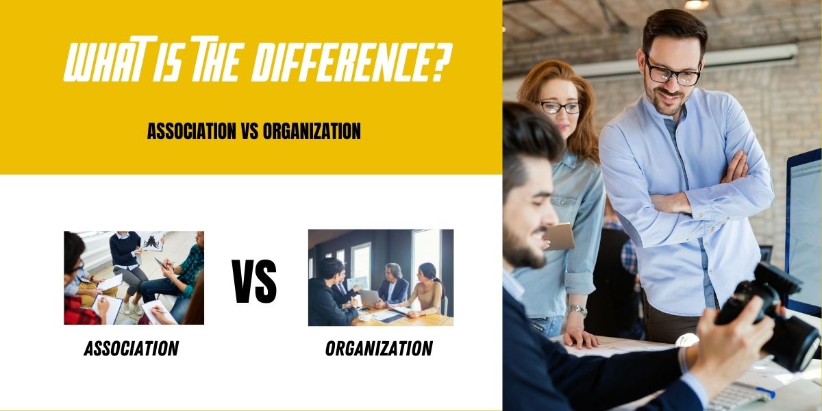 Association vs Organization - What Is The Difference? - Paint Color ...