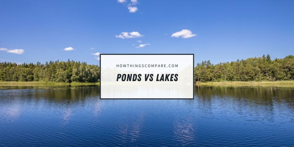 Ponds vs Lakes - How Are They Different? - howthingscompare.com