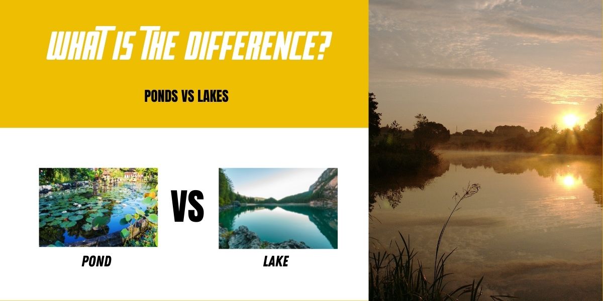 Ponds vs Lakes - How Are They Different? - Paint Color Comparisons & Guides