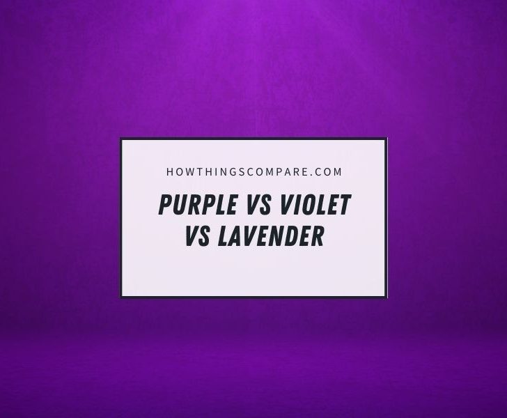 Violet Vs Purple Vs Lavender