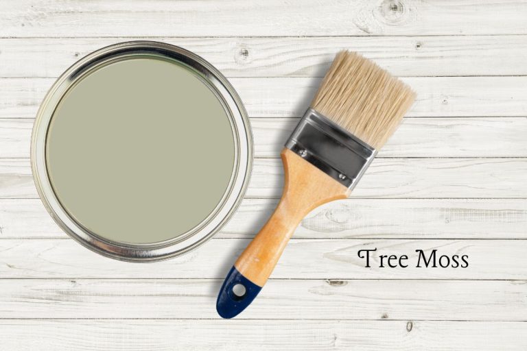 Olive vs Moss vs Sage - Shades Of Green Explained - Paint Color ...