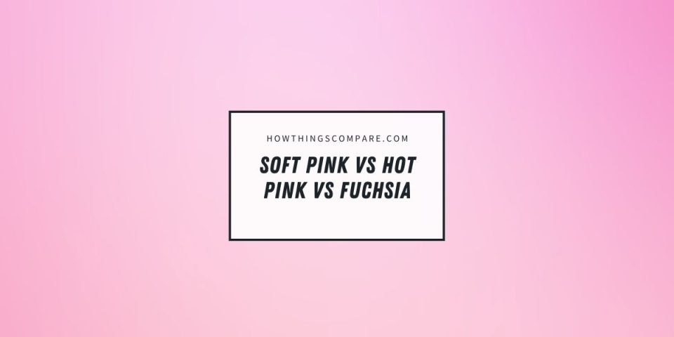 Soft Pink vs Hot Pink vs Fuchsia - Shades Of Pink Explained - howthingscompare.com