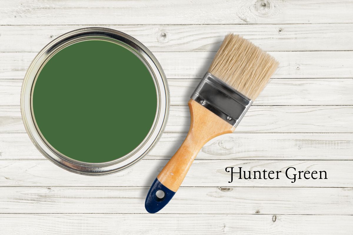 Pine vs Forest vs Hunter - Green Colors Compared - Paint Color ...