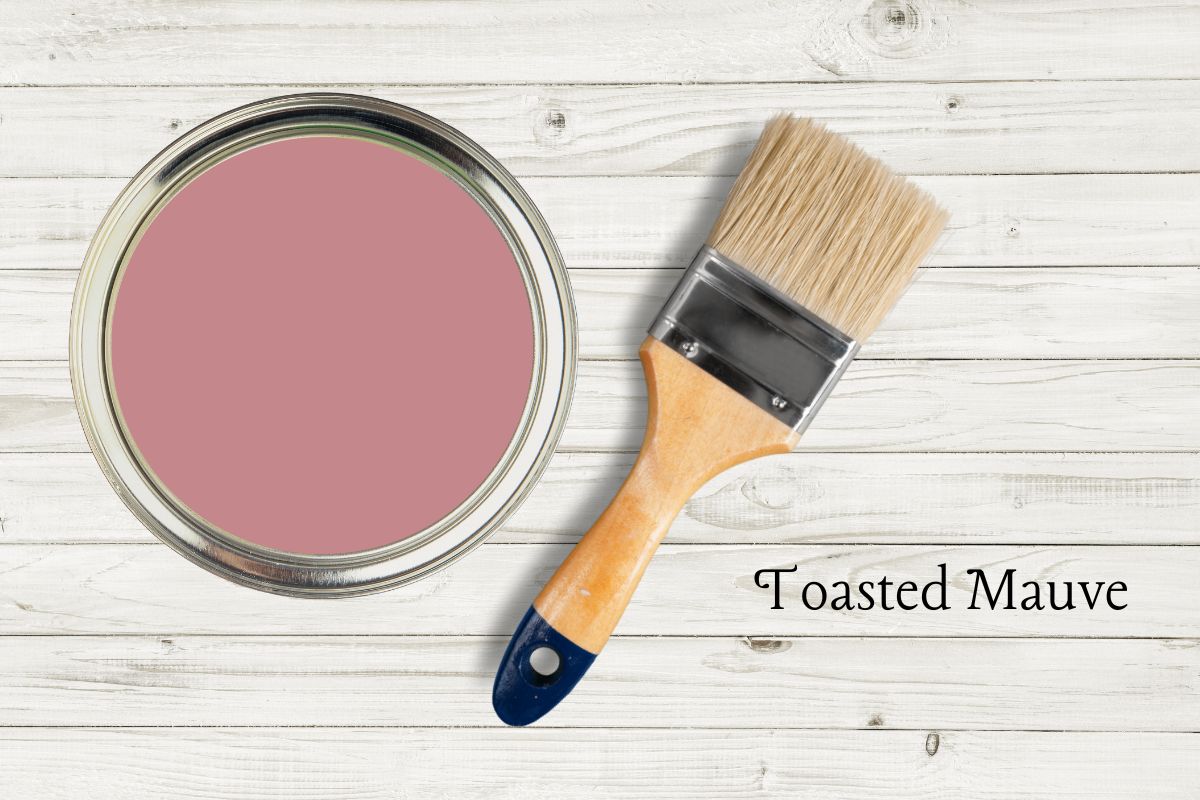 Mauve vs Magenta vs Purple - Color Comparison Guide - Paint Color ...