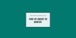 Pine vs Forest vs Hunter - Green Colors Compared - howthingscompare.com