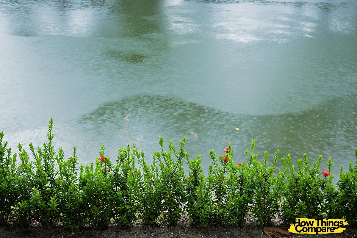 Which Is Better - Fall vs Spring : My Personal Opinion - Paint Color ...