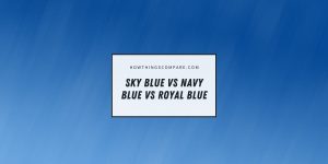 Sky Blue vs Navy Blue vs Royal Blue - Differences Explained ...
