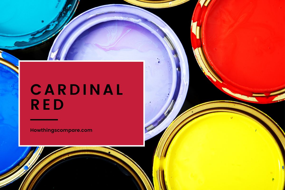 Shades Of Red Colors Compared: Imperial vs Scarlet vs Cardinal ...