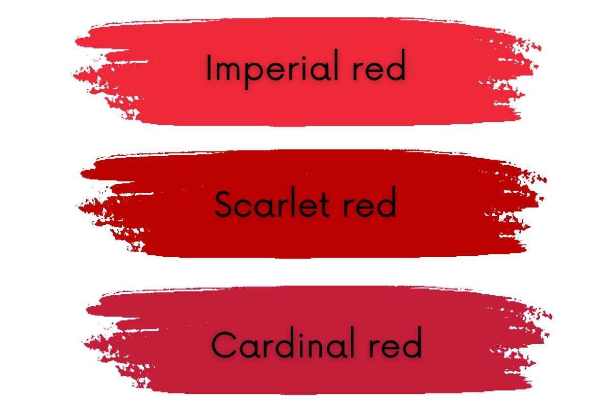 Shades Of Red Colors Compared: Imperial vs Scarlet vs Cardinal ...