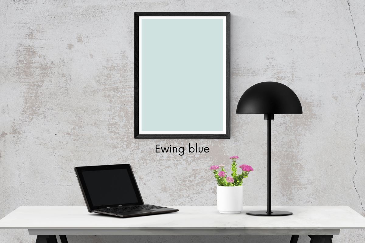 Ewing Blue vs Palladian Blue: Color Comparison Guide - Paint Color ...