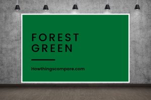Pine vs Forest vs Hunter – Green Colors Compared – howthingscompare.com