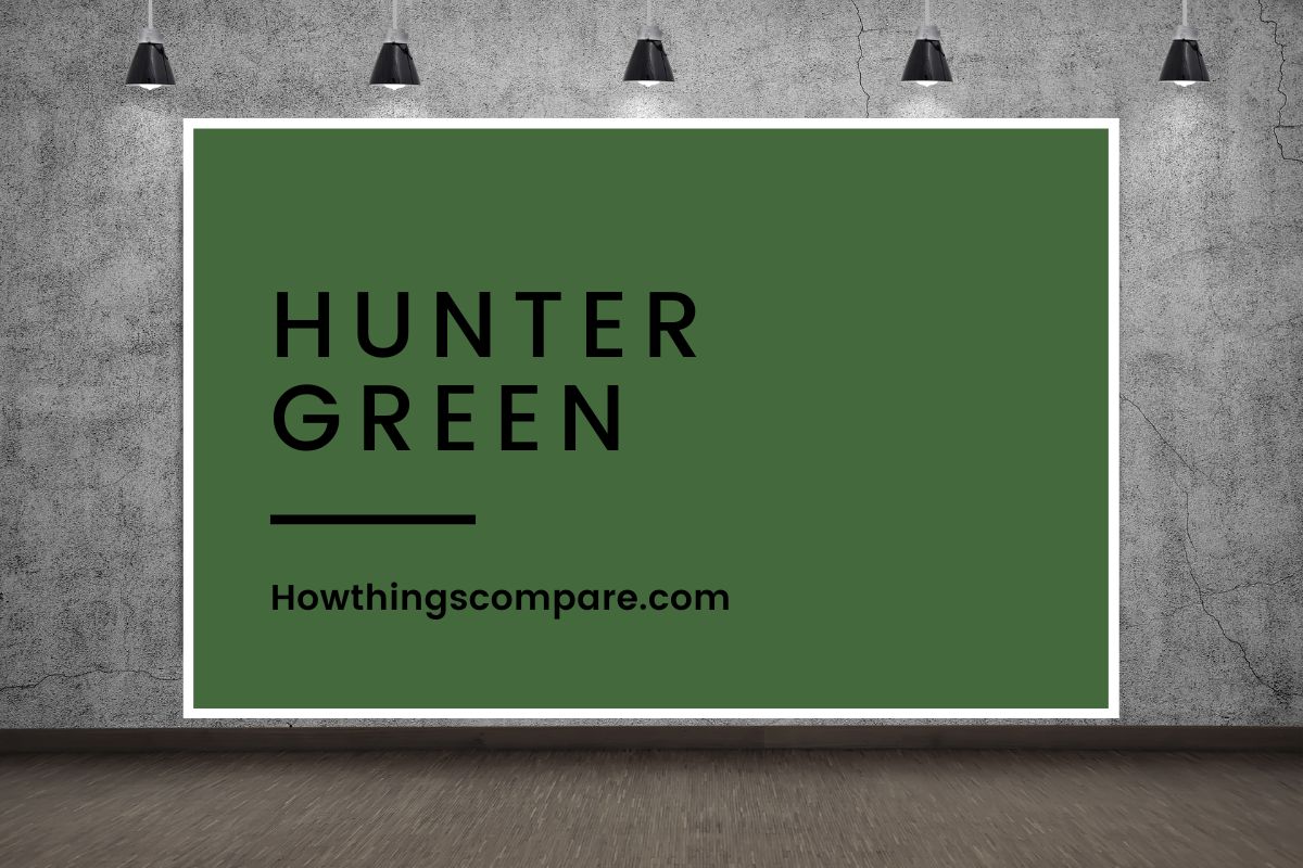 Pine vs Forest vs Hunter – Green Colors Compared – howthingscompare.com