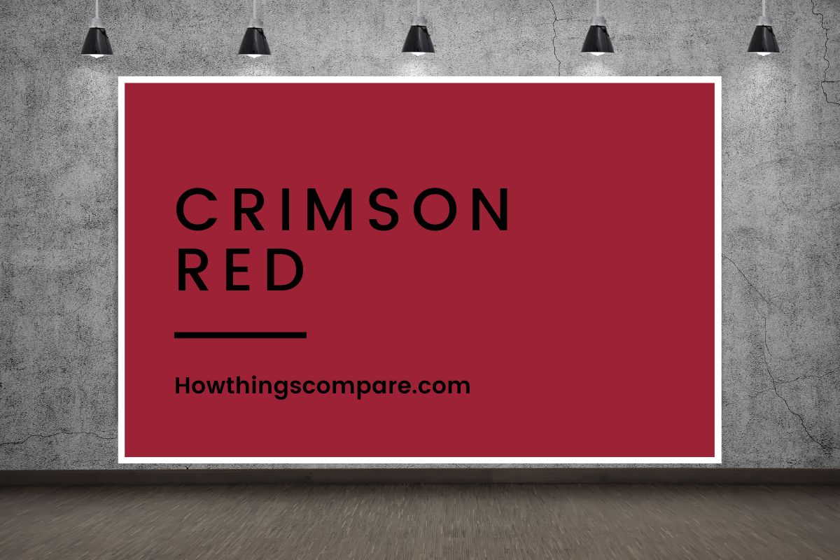 Cherry Red vs Crimson Red vs Ruby Red - Shades Of Red Explained - Paint ...
