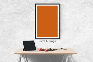 Burnt Orange vs Rust: Color Comparison Guide – howthingscompare.com