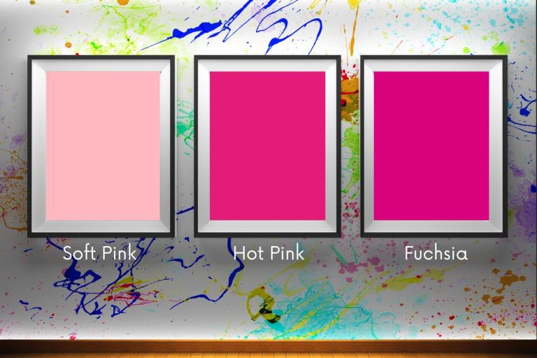 Soft Pink vs Hot Pink vs Fuchsia - Shades Of Pink Explained - Paint ...