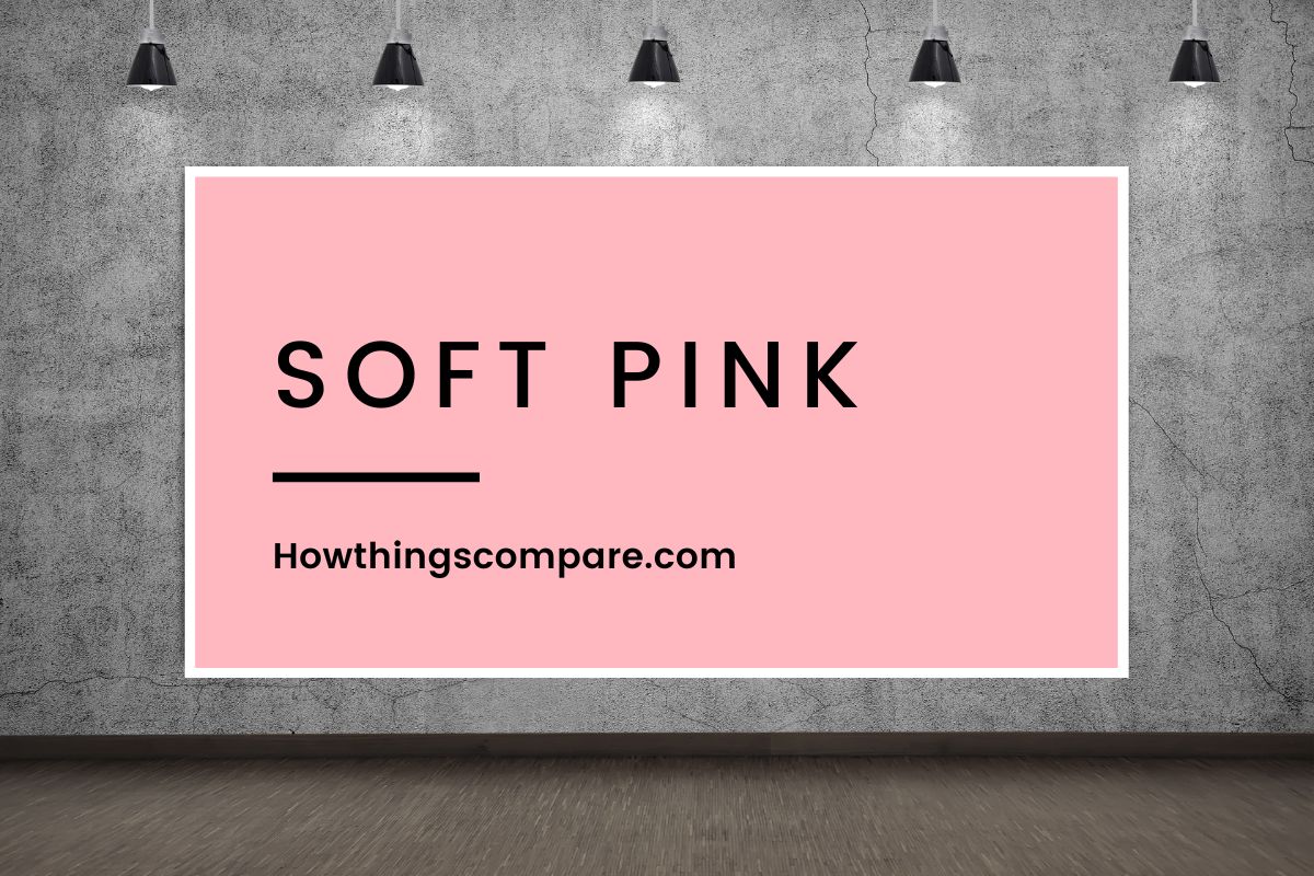 Soft Pink vs Hot Pink vs Fuchsia - Shades Of Pink Explained - Paint Color Comparisons & Guides