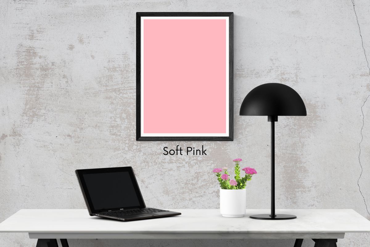 Soft Pink vs Hot Pink vs Fuchsia - Shades Of Pink Explained - Paint ...