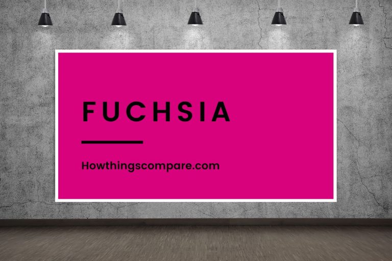 Soft Pink vs Hot Pink vs Fuchsia - Shades Of Pink Explained - Paint ...