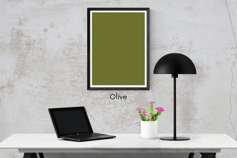 Olive vs Moss vs Sage – Shades Of Green Explained – howthingscompare.com