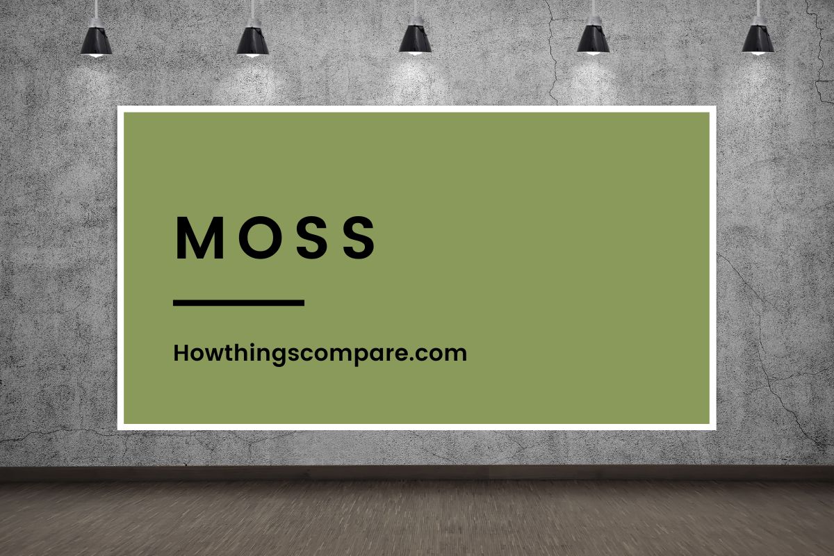 Olive vs Moss vs Sage - Shades Of Green Explained - Paint Color ...