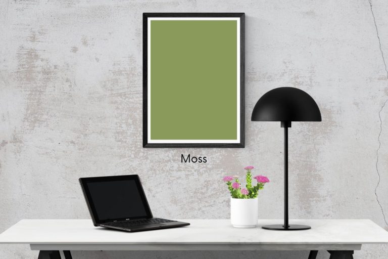 Olive vs Moss vs Sage – Shades Of Green Explained – howthingscompare.com