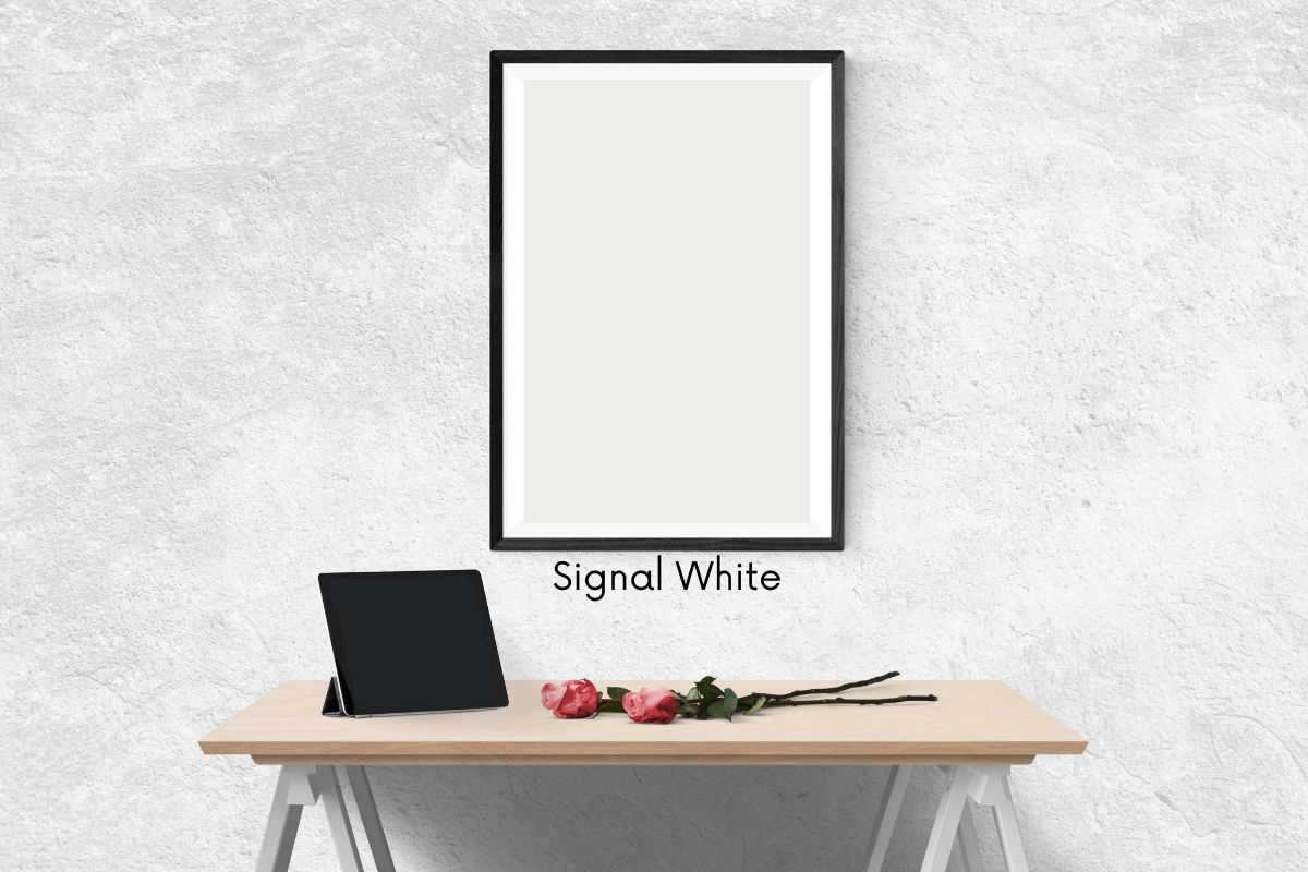 Signal White vs Traffic White: Color Comparison Guide - Paint Color ...