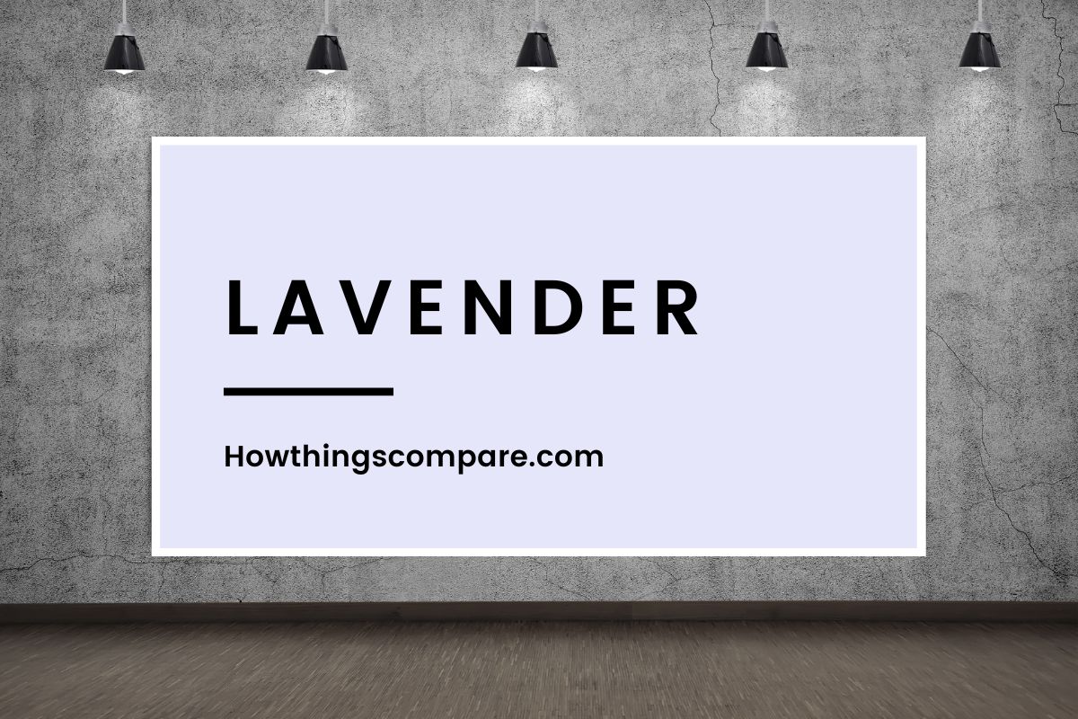 Purple vs Violet vs Lavender - Paint Colors Compared - Paint Color ...