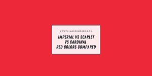 Shades Of Red Colors Compared: Imperial vs Scarlet vs Cardinal ...