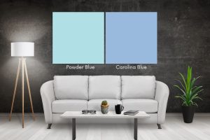 Powder Blue vs Carolina Blue: Color Comparison Guide - Paint Color ...