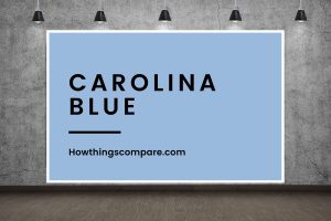 Powder Blue vs Carolina Blue: Color Comparison Guide - Paint Color ...