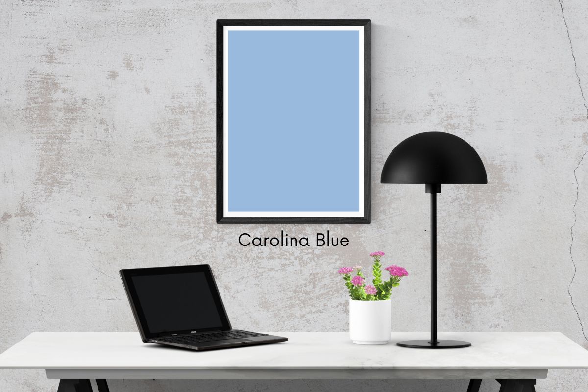 Powder Blue vs Carolina Blue: Color Comparison Guide - Paint Color ...