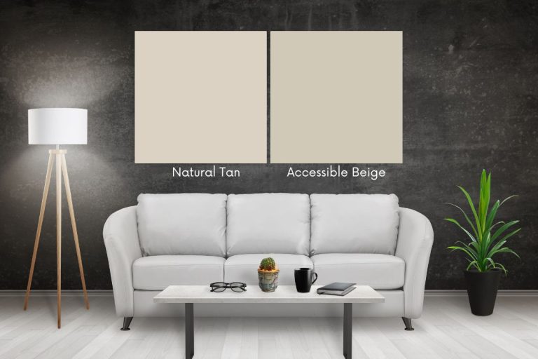 Natural Tan vs Accessible Beige: Color Comparison Guide - Paint Color ...