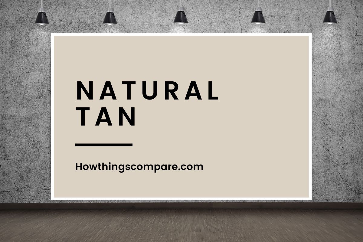 Natural Tan vs Accessible Beige: Color Comparison Guide - Paint Color ...