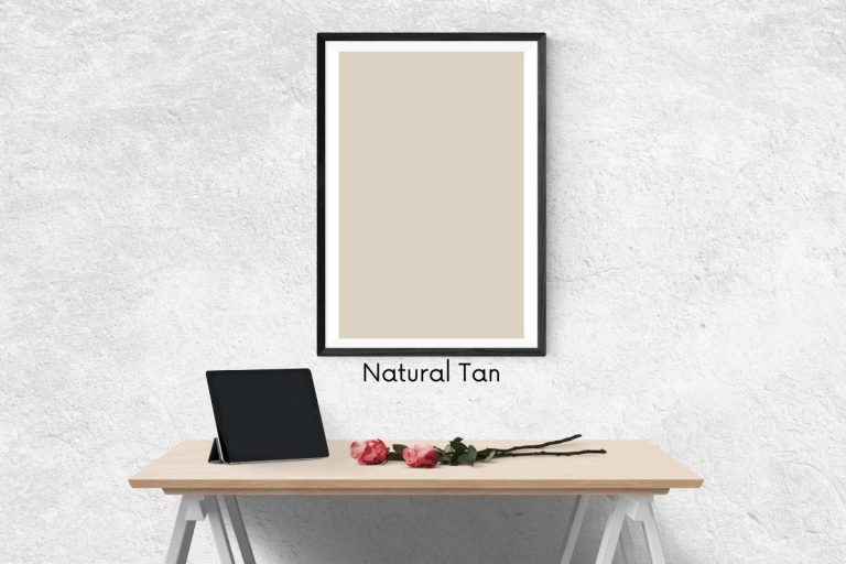 Natural Tan vs Accessible Beige: Color Comparison Guide - Paint Color ...