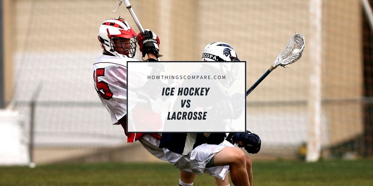 Ice Hockey vs Lacrosse: How Are These Sports Different? - Paint Color ...