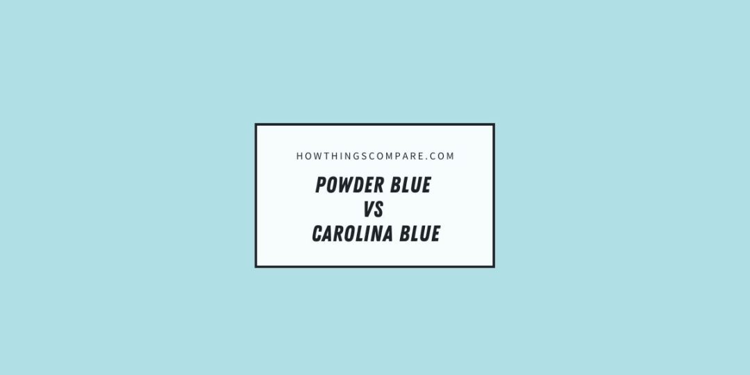 Powder Blue vs Carolina Blue: Color Comparison Guide - howthingscompare.com