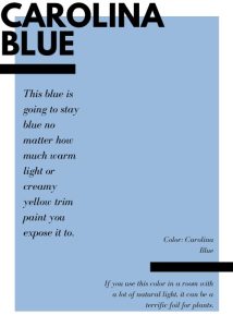 Powder Blue vs Carolina Blue: Color Comparison Guide - Paint Color ...