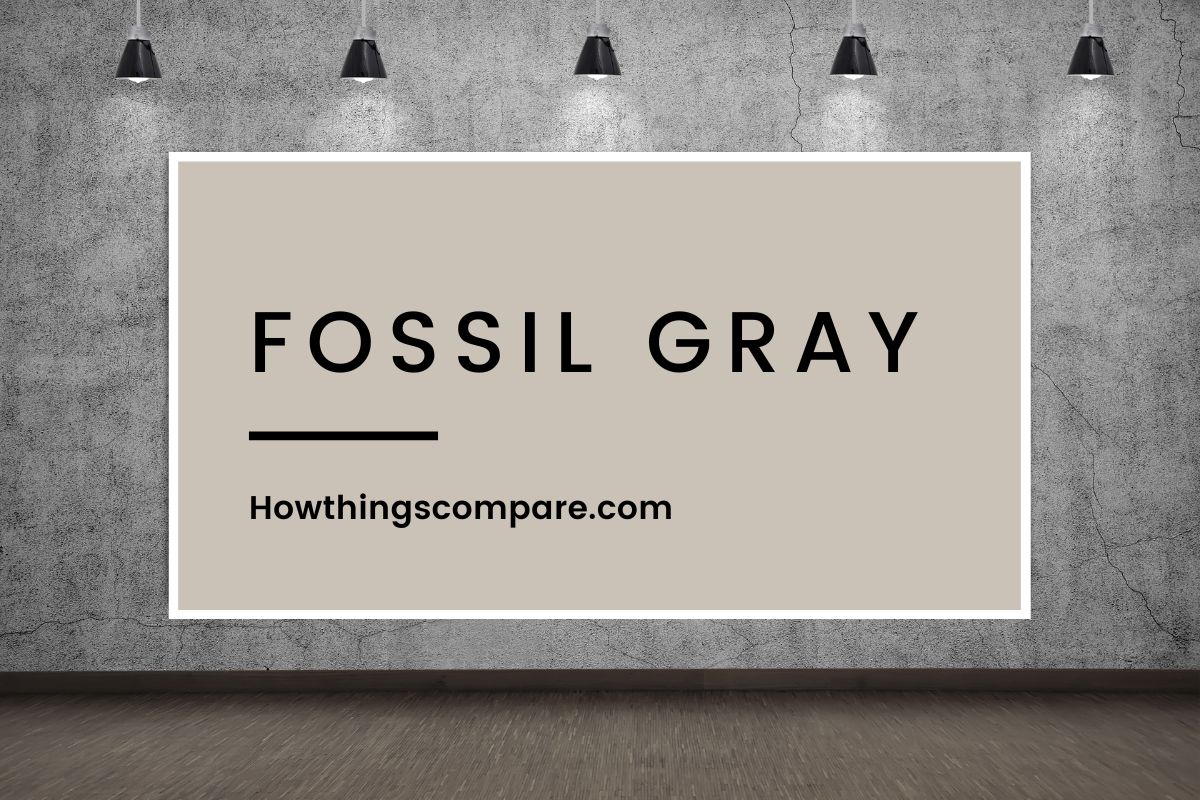 Fossil Gray vs Iron Gray vs Pewter Gray: Color Comparison Guide - Paint ...