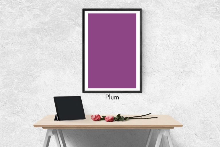 Plum vs Eggplant vs Grape: Purple Colors Compared - Paint Color ...