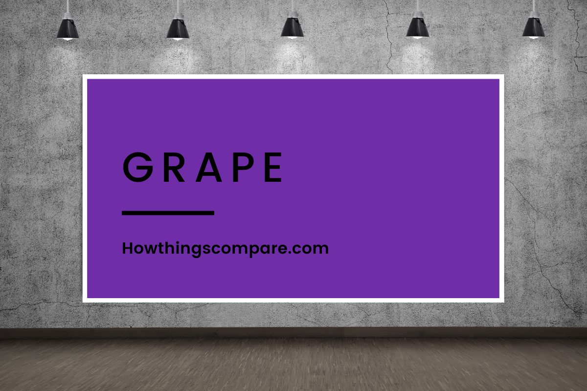 Plum vs Eggplant vs Grape: Purple Colors Compared - Paint Color ...