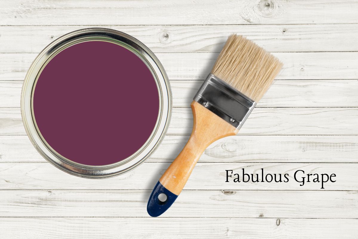 Plum vs Eggplant vs Grape: Purple Colors Compared - Paint Color ...