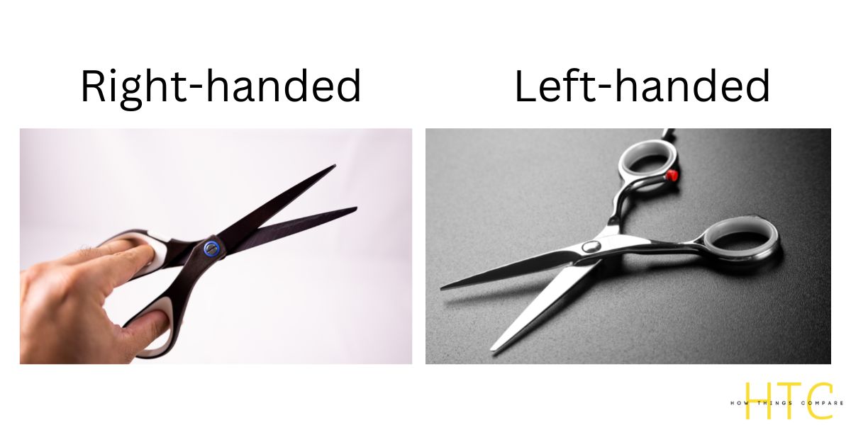 Left vs Right Scissors: Is There A Difference? - Paint Color ...