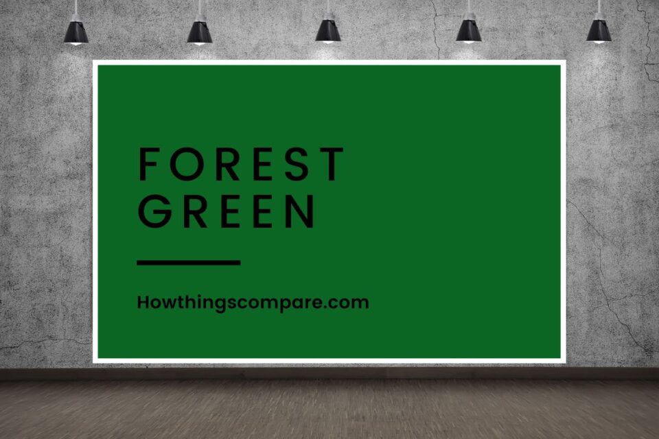 11 Dark Green Paint Colors Compared – howthingscompare.com