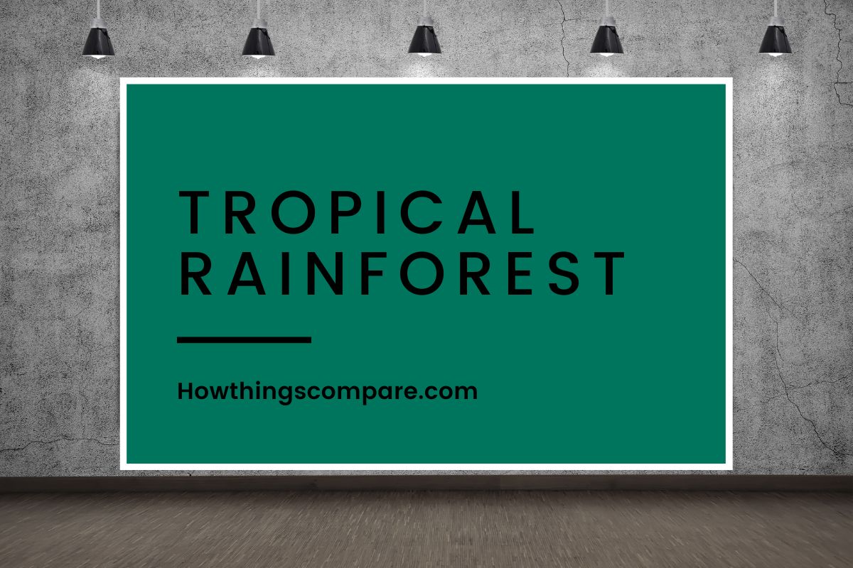 11 Dark Green Paint Colors Compared - Paint Color Comparisons & Guides