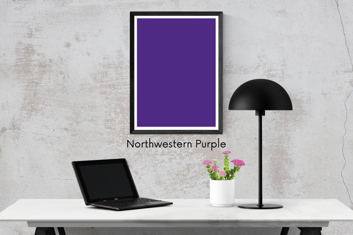 12 Dark Purple Paint Colors Compared - Paint Color Comparisons & Guides