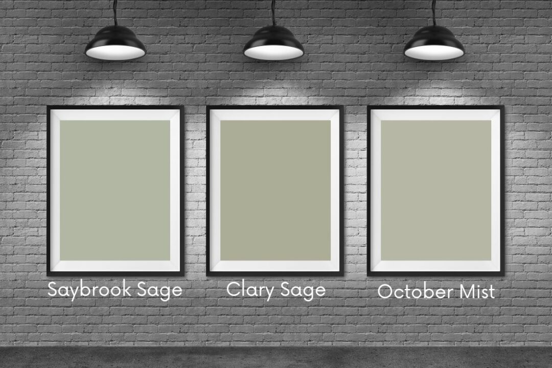 Saybrook Sage vs Clary Sage vs October Mist: Paint Colors Compared ...