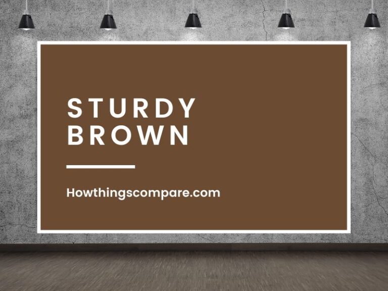 11 Shades Of Dark Brown Paint Colors: Comparison Guide - Paint Color ...